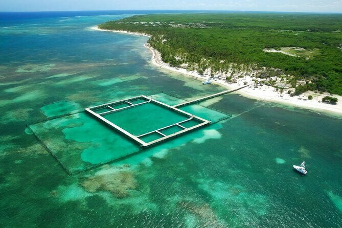 Sharks & Stingrays Snorkeling in Punta Cana with Parasailing - The Sum Up