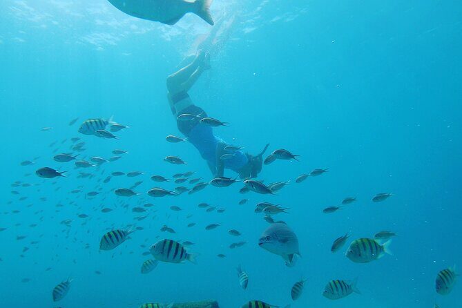 Shasa Catamaran Cruises Limited Numbers 3 Hour Sail and Snorkel - How It Compares to Other Tours