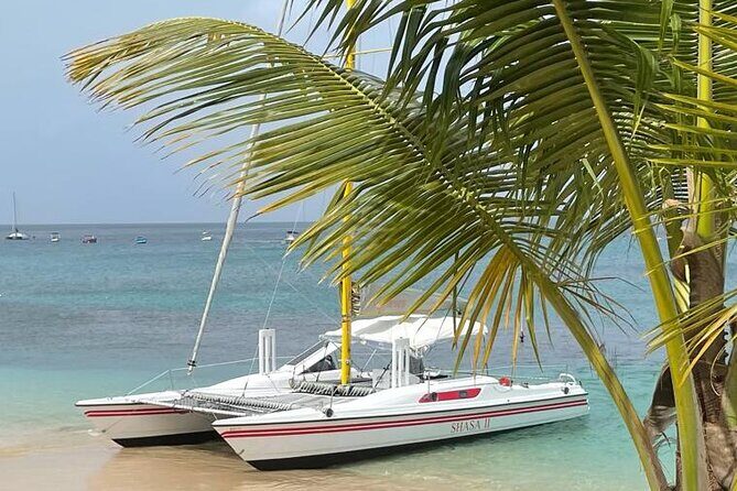 Shasa private catamran sailing cruise, Snorkel with turtles. - FAQ