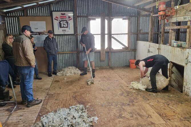 Sheep & Beef Working Farm Private Tour - The Sum Up: Who Should Consider This Tour?
