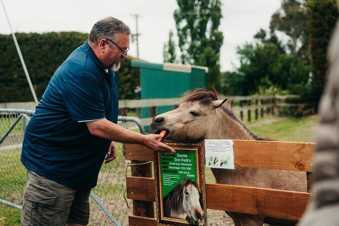 Sheep Farm Day Trip from Christchurch + Lunch and Winery visit. - FAQ