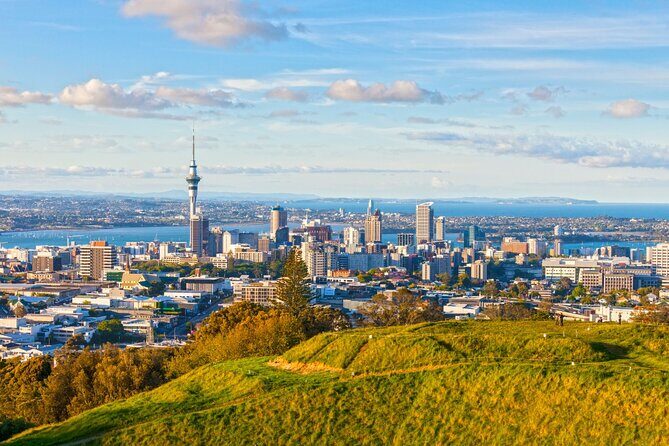 Sheep Shearing and Auckland City Highlights Tour with Lunch - FAQ