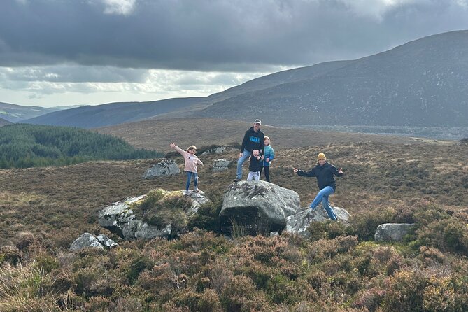 Sheepdogs in the Countryside, Authentic Dubliners City Tour Combo - The Comfort of Private Transportation