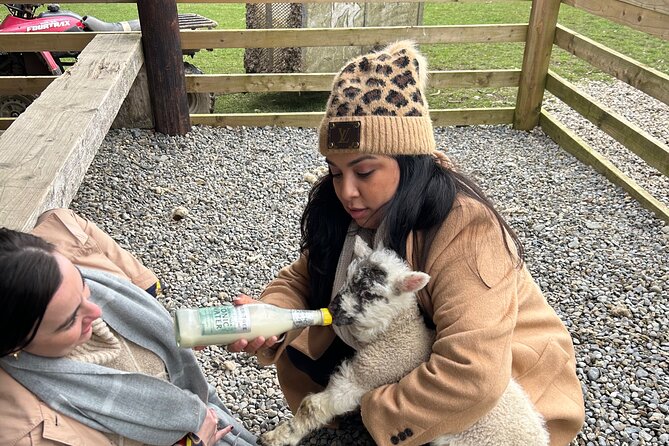Sheepdogs in the Countryside, Authentic Dubliners City Tour Combo - Booking Your Unforgettable Experience