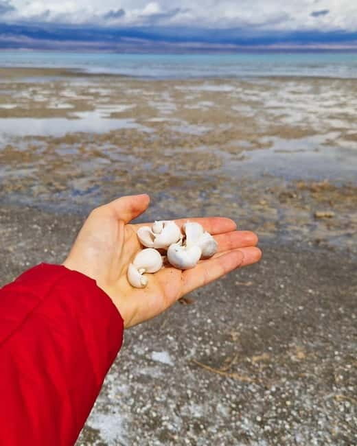 Shell beach Turtle head and Kok-Moinok canyons - Key Points