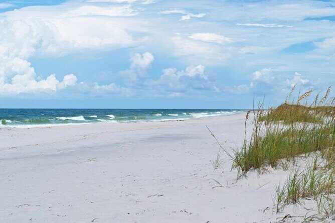 Shell Island Ferry - St Andrews State Park - The Itinerary: What to Expect