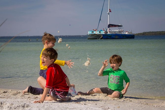 Shell Island Snorkel and Dolphin Catamaran Cruise with Island Time - Final Thoughts: Who Is This Tour Best For?