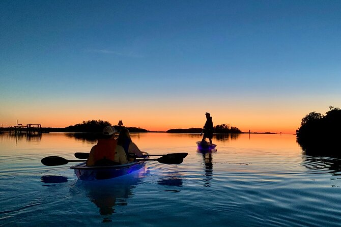 Shell Key Clear Kayak Sunset & Glow Tours - Reviews in Their Own Words