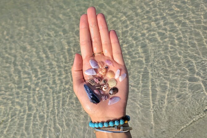 Shell Key Ferry from Ft. DeSoto Boat Ramp in Tierra Verde, FL - Who Will Love This Tour?
