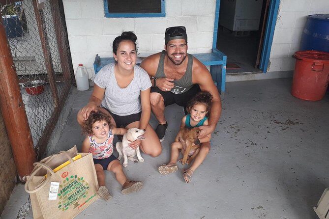 Shelter Visit & Tour - Practical Considerations and Tips