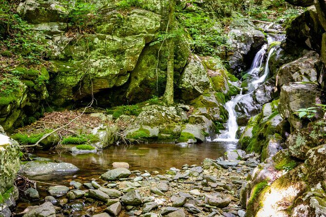 Shenandoah National Park Self-Guided Driving Audio Tour - Who Will Love This Tour?