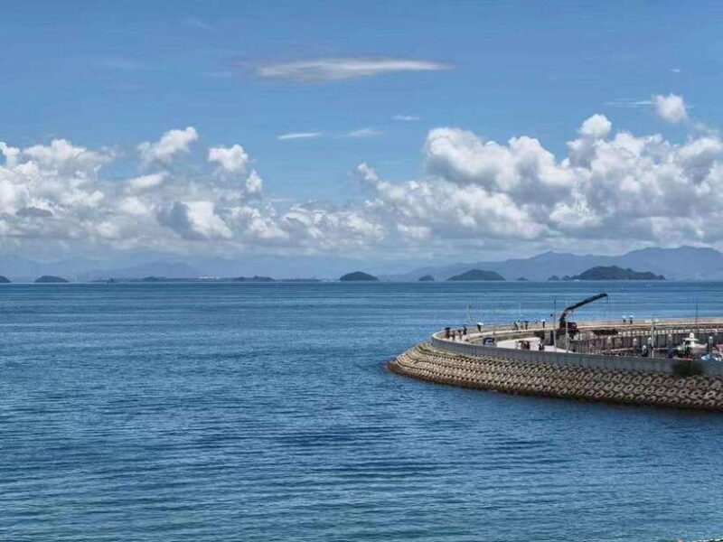 Shenzhen: Dapeng Peninsula Day Tour with Hotel Pickup - Who Is This Tour For?