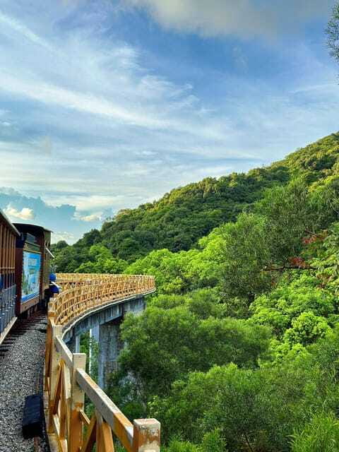 Shenzhen: Pingshan Tea Valley and Wetland Garden Tour - Who Would Enjoy This Tour?