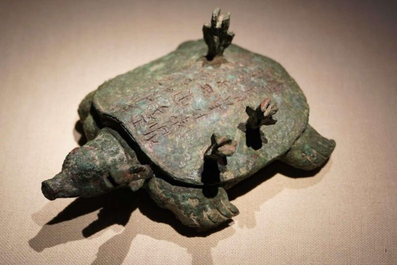 Shenzhen Private Day Trip - Transportation and Logistics