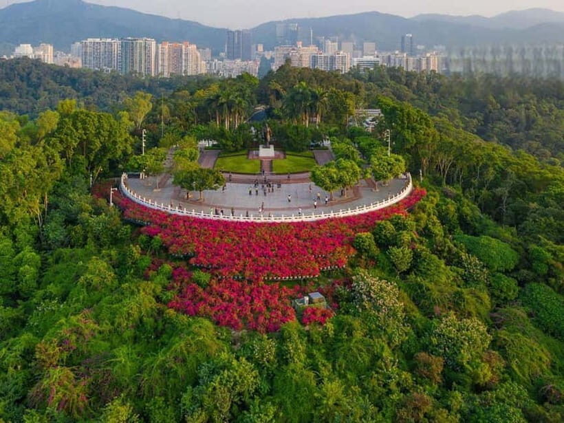 Shenzhen8h City Walk & Future Experience Highlights Trip - Who Will Appreciate This Tour?