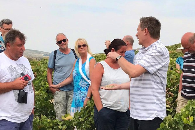 Sherry Experience in the Vineyard - Key Points