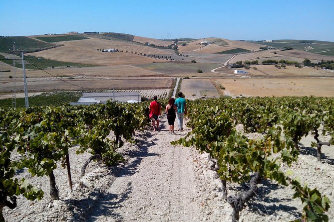 Sherry Experience in the Vineyard - The Experience: Why It Resonates