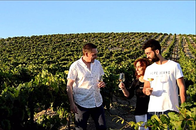 Sherry Experience in the Vineyard - FAQs