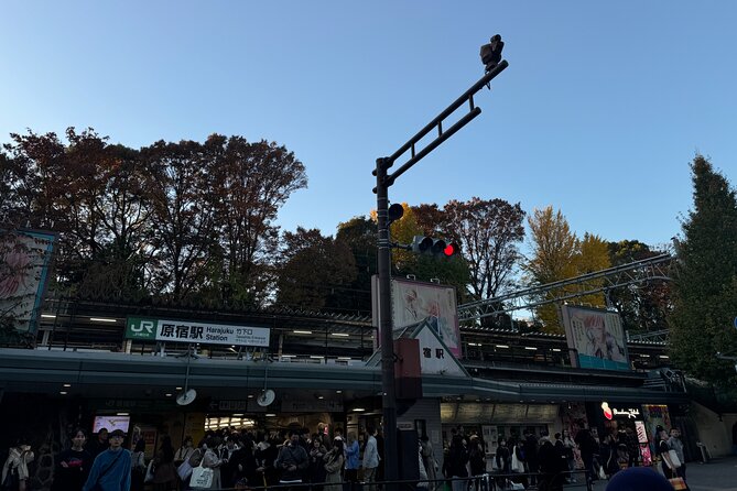 Shibuya and Harajuku Highlights Walking Tour - Key Points