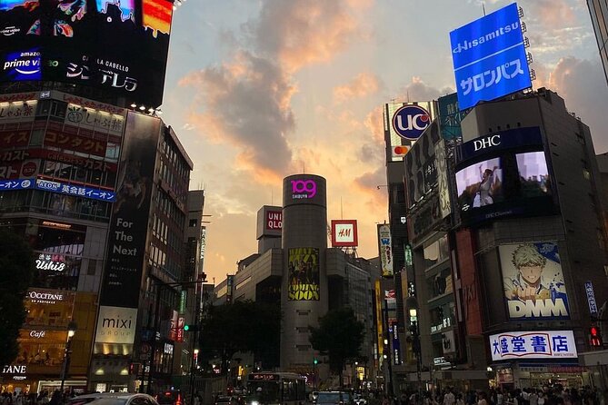 Shibuya and Harajuku Highlights Walking Tour - Highlights of the Shibuya District