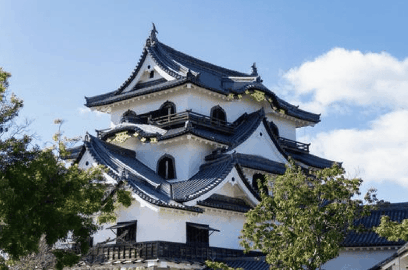 Shiga Private Day Tour - Exploring Hikone Castle