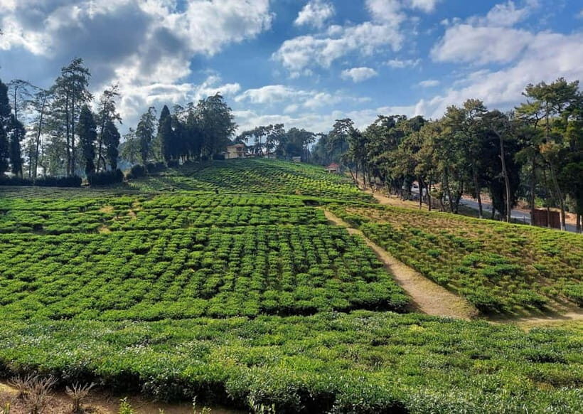 Shillong Green Trails: Guided Trekking Experience with local - FAQ