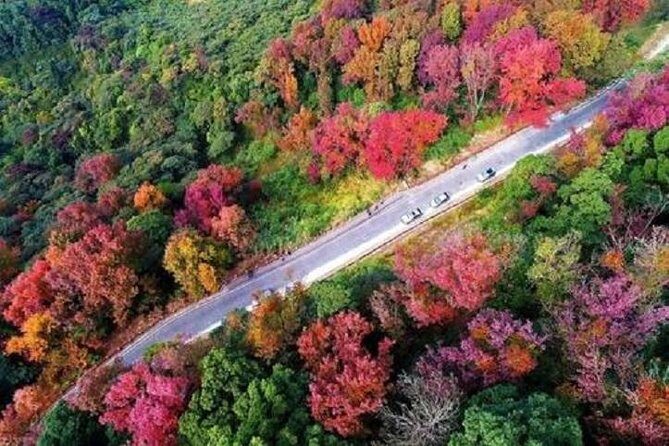 Shimen National Forest Park & Conghua Hot Spring Private Day Tour - FAQ