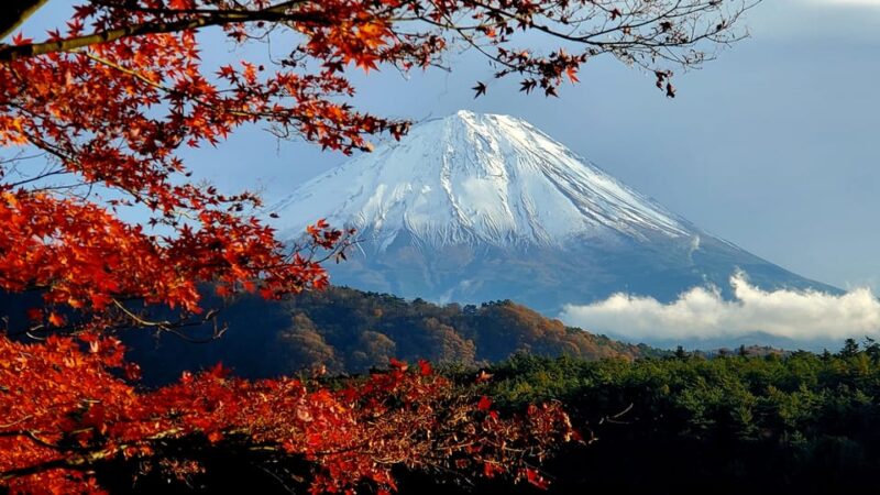 Shimizu Port: Mount Fuji Private Tour - Exploring Chureito Pagoda