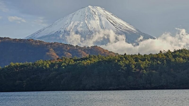 Shimizu Port: Mount Fuji Private Tour - Discovering Oshino Hakkai