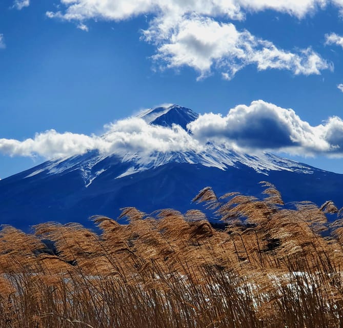 Shimizu Port: Mount Fuji Private Tour - Visiting Kitaguchi Hongu Fuji Sengen Shrine
