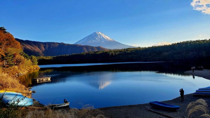 Shimizu Port: Mount Fuji Private Tour - Taking in Saiko Iyashi-no-Sato Nenba