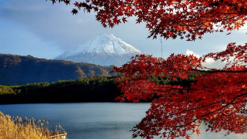 Shimizu Port: Mount Fuji Private Tour - Frequently Asked Questions