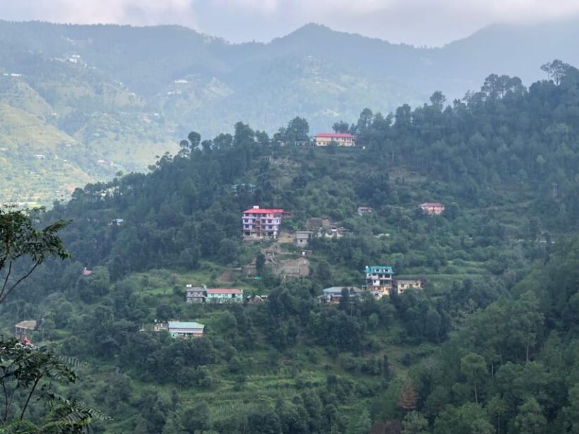 Shimla: Experience the Best of Shimla with a Local Guide - Who Should Book This Tour?