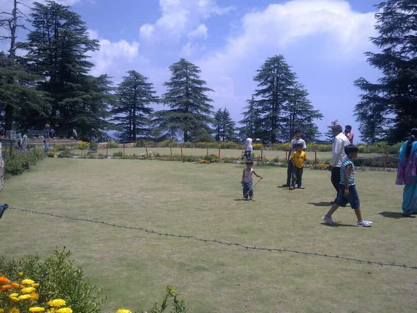 Shimla: Hiking Tour to Jakhu Hill with Local Guide - Key Points