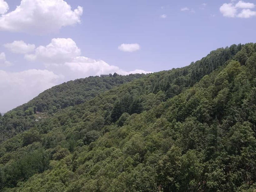 Shimla: Hiking Tour to Taradevi Hill with Local Driver Guide - Key Points