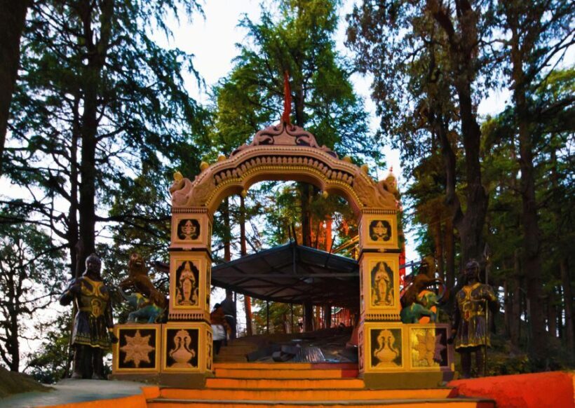 Shimla Nature Walk (3 Hours Guided Trekking Experience) - What to Expect from the Shimla Nature Walk