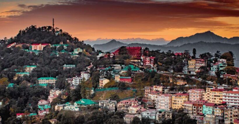 Shimla Nature Walk (3 Hours Guided Trekking Experience) - Analyzing the Value