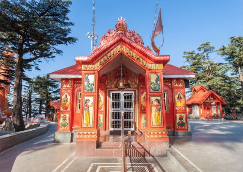 Shimla Nature Walk (3 Hours Guided Trekking Experience) - Final Thoughts on the Shimla Nature Walk
