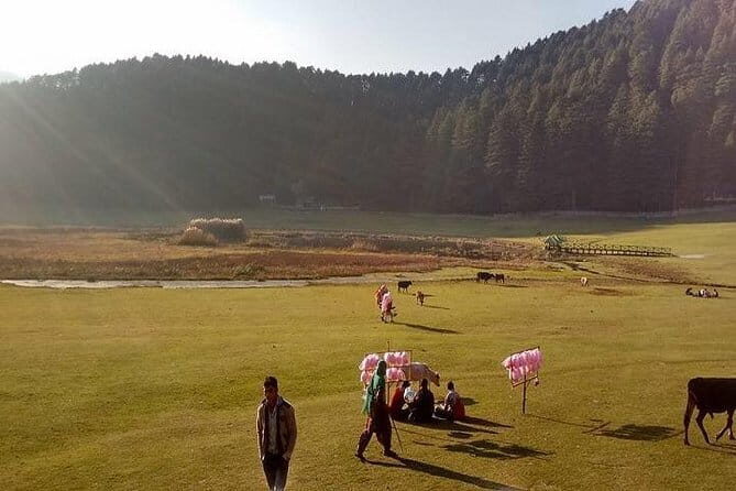 Shimla Queen Of Hills Tour Package 3 Days By Car - The Experience: What You Truly Get