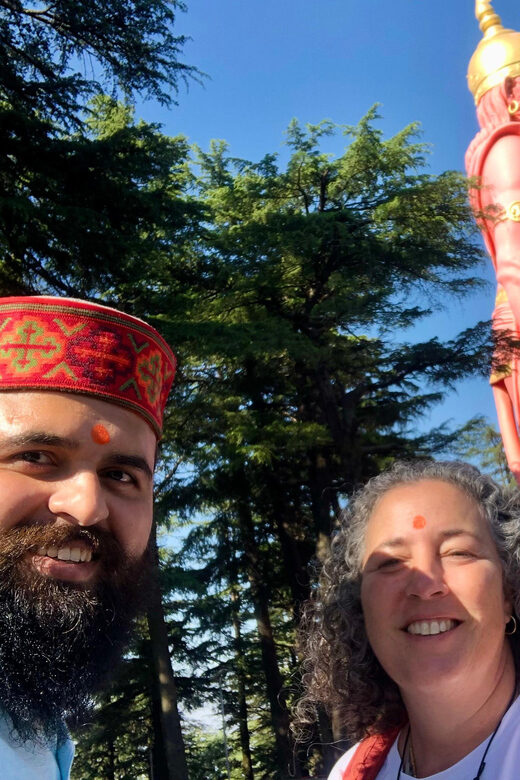 Shimla: Temples Tour with full day Local Driver Guide - Analyzing the Value: Is It Worth It?