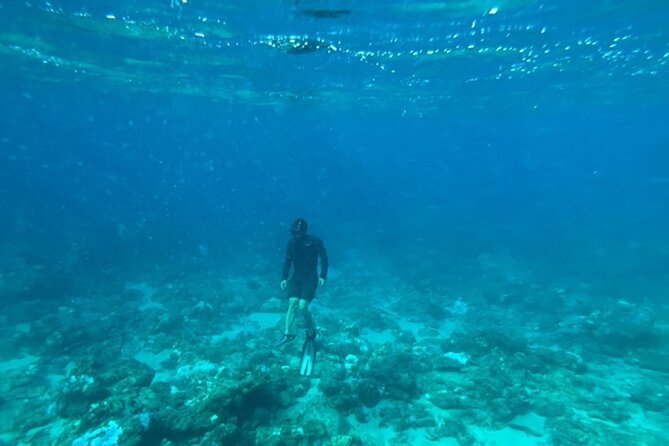 Shimoda Local Guide - Transportation and Pickup