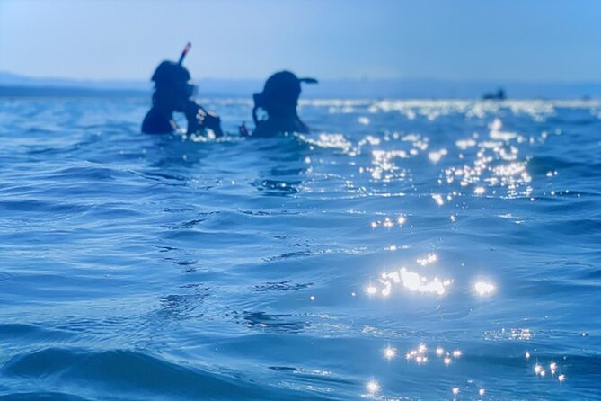 Shimoda Local Guide - Availability and Scheduling