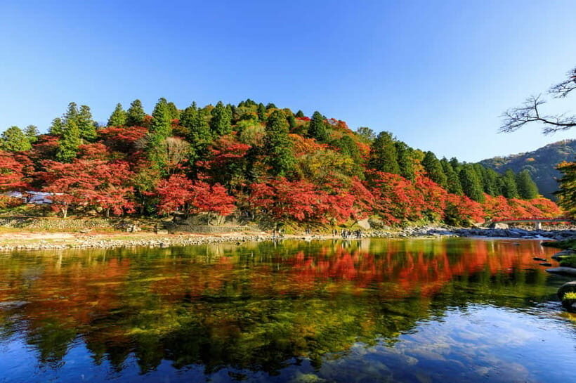Shin-Toyota: Korankei/Obara Bus Tour with Persimmon Tasting - Key Points