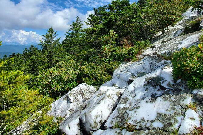 Shining Rock Guided Tour - Weather Considerations