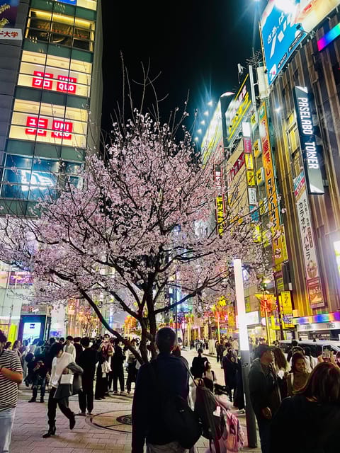 Shinjuku Kabukicho & Golden Gai Night Tour - Frequently Asked Questions