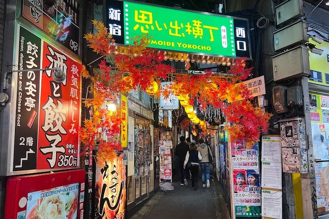 Shinjuku Kabukicho & Golden Gai Night Tour - Understanding the Rich History and Culture