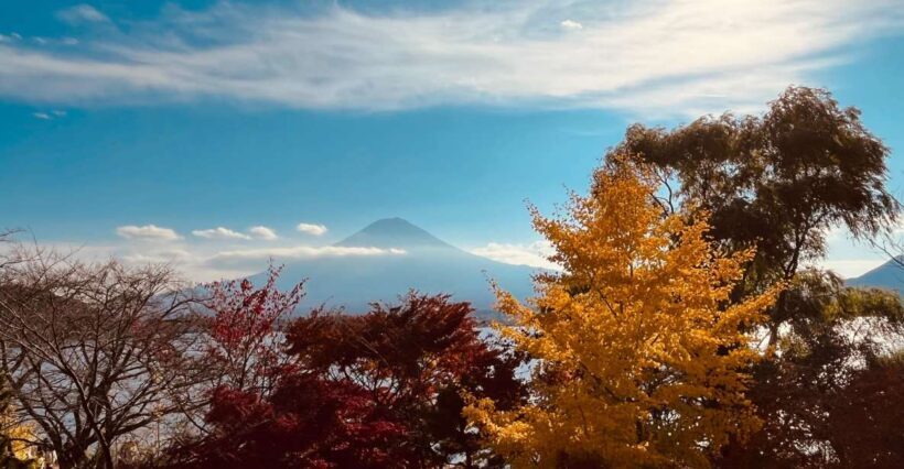 Shinjuku: Mount Fuji Panoramic View and Shopping Day Tour - FAQs