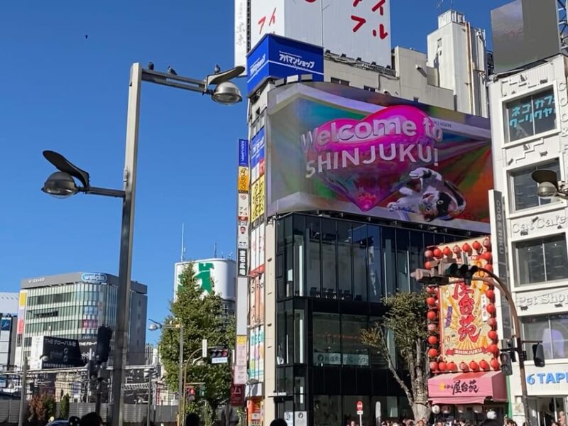 Shinjuku Night: Izakaya Dinner & Kabukicho Red Light Distric - Itinerary Highlights