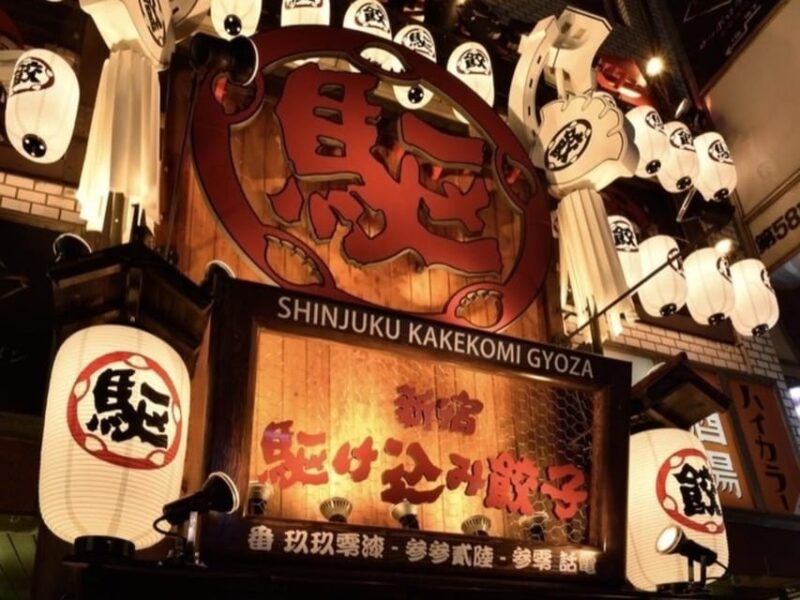 Shinjuku: Vegan Izakaya and Darts Bar Night Out With Drinks - Important Information