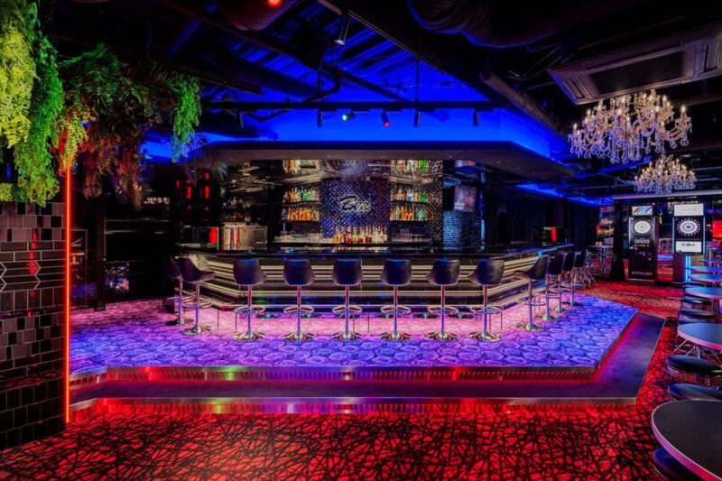 Shinjuku: Vegan Izakaya and Darts Bar Night Out With Drinks - Exploring Shinjuku Nightlife